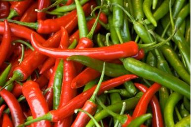 Pepper Cayenne – Harvest Farm